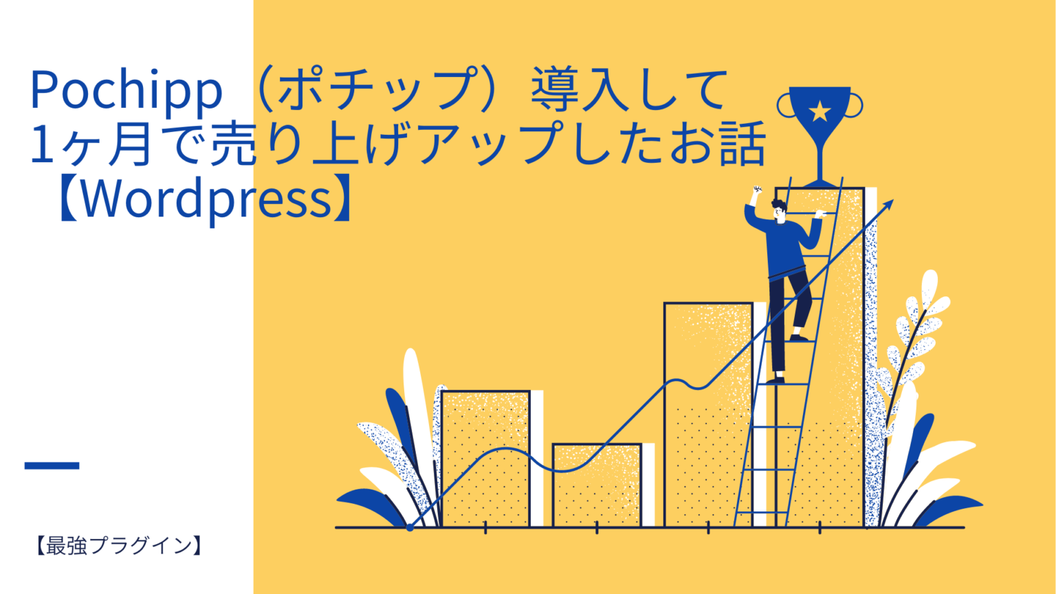 【ブログ初心者必見】Pochipp（ポチップ）導入して1ヶ月で売り上げアップしたお話【おすすめWordpressプラグイン】 | フィールド設計